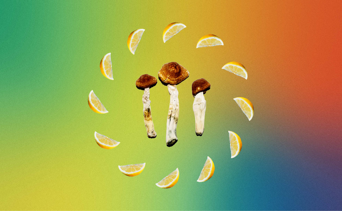 How to Lemon Tek Mushrooms | Lemon Tekking - Gwella | Mushrooms for Modern Life